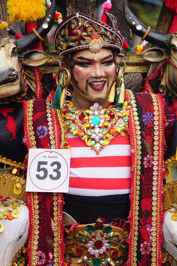 El Carnaval De La Moda De Biro Participante Con Traje De Vaca Imagen de ...