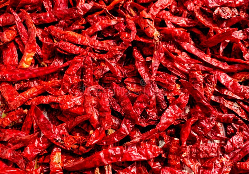 El Chile Rojo Indio Se Seca En Los Terris Imagen de archivo - Imagen de ...