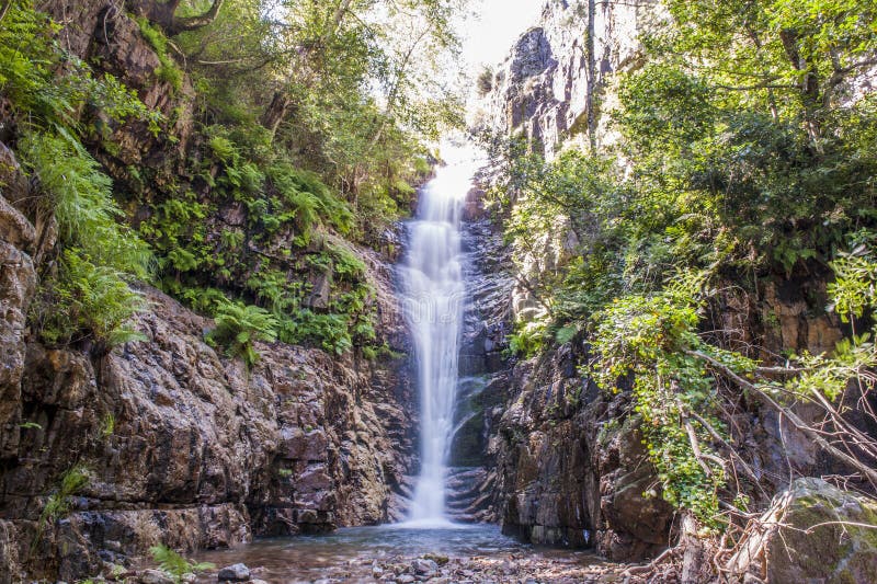 EL Chorro fotografia stock. Immagine di cascata, naturalizzato - 102232618