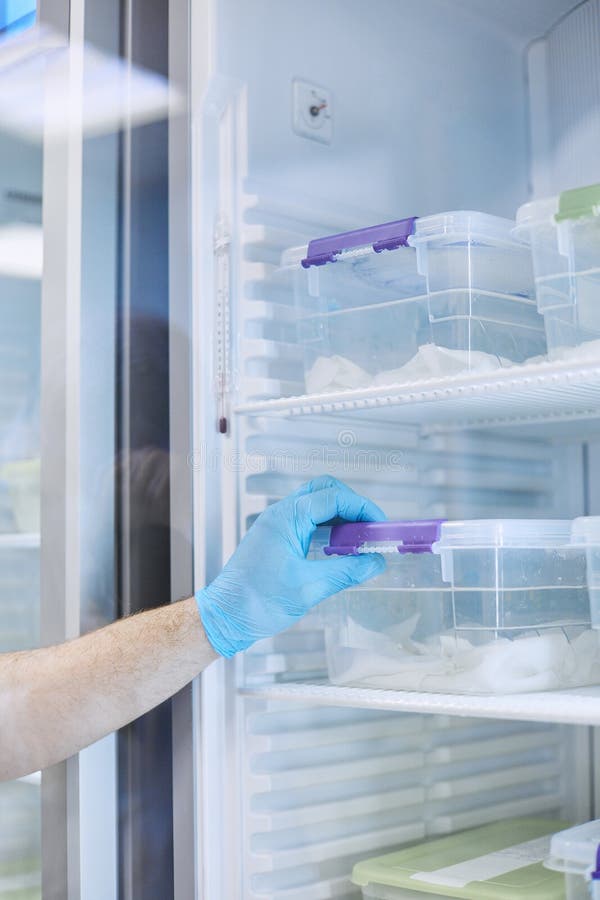 El Científico Saca Muestras De Materiales Para Experimentos De La ...