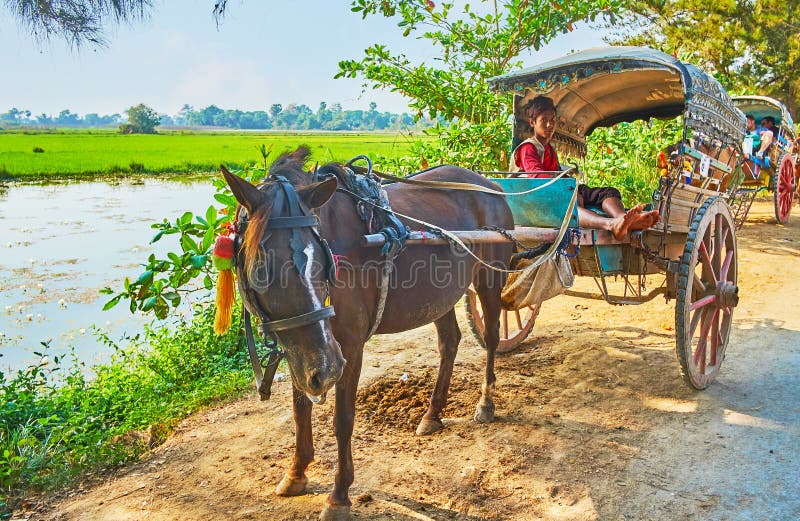 El Cochero Joven En Carro, Ava, Myanmar Imagen de archivo editorial ...