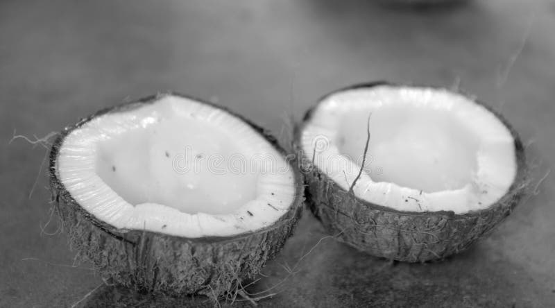 El Coco Seco Se Corta a La Mitad Foto de archivo - Imagen de ...