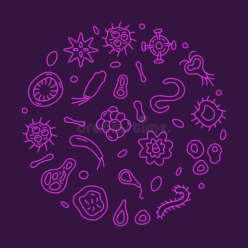 El Concepto De Ciencia Bacteriológica Vectorial De Microbiología Stock ...