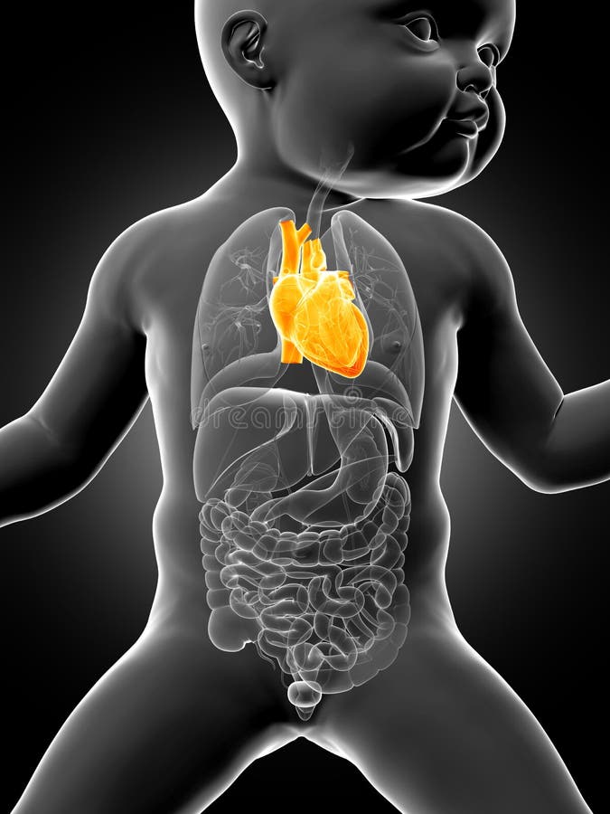 El corazón de un bebé stock de ilustración. Ilustración de rojo - 38958714