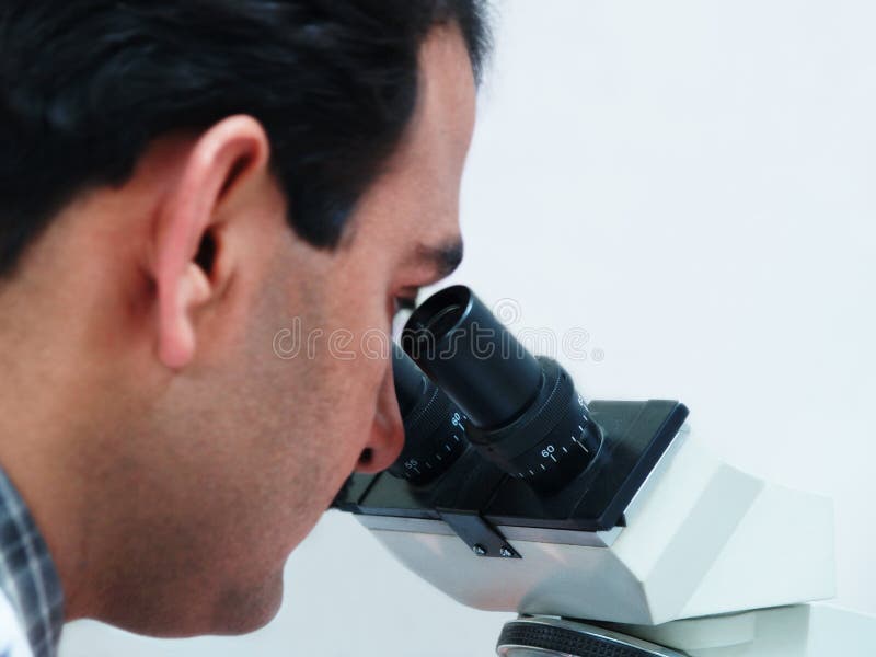 El Doctor Looking in Microscope Foto de archivo - Imagen de aislado ...