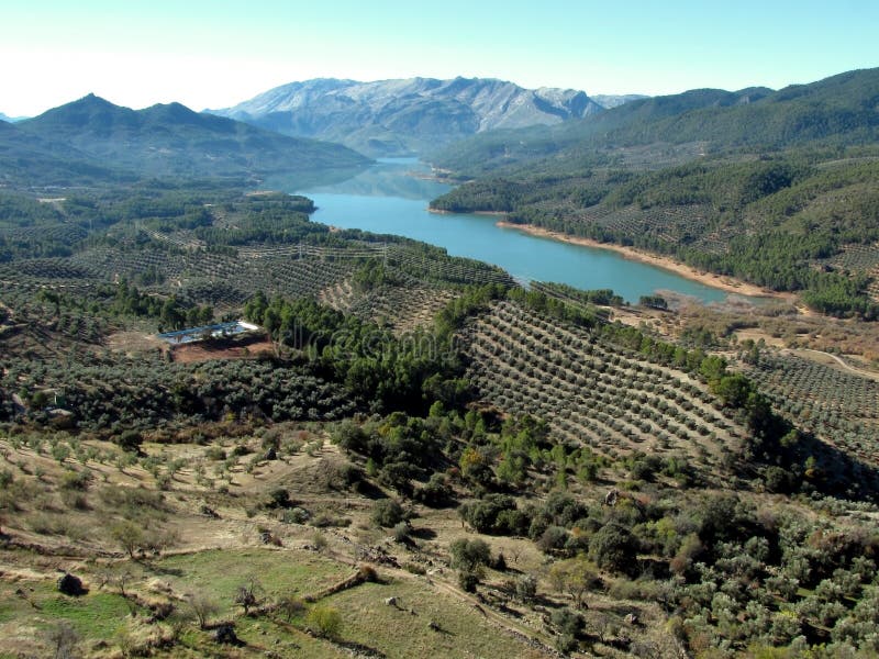 El Embalse del Tranco 库存图片. 图片 包括有 视图, 杉木, 旅行, 全景, 森林 - 90623009