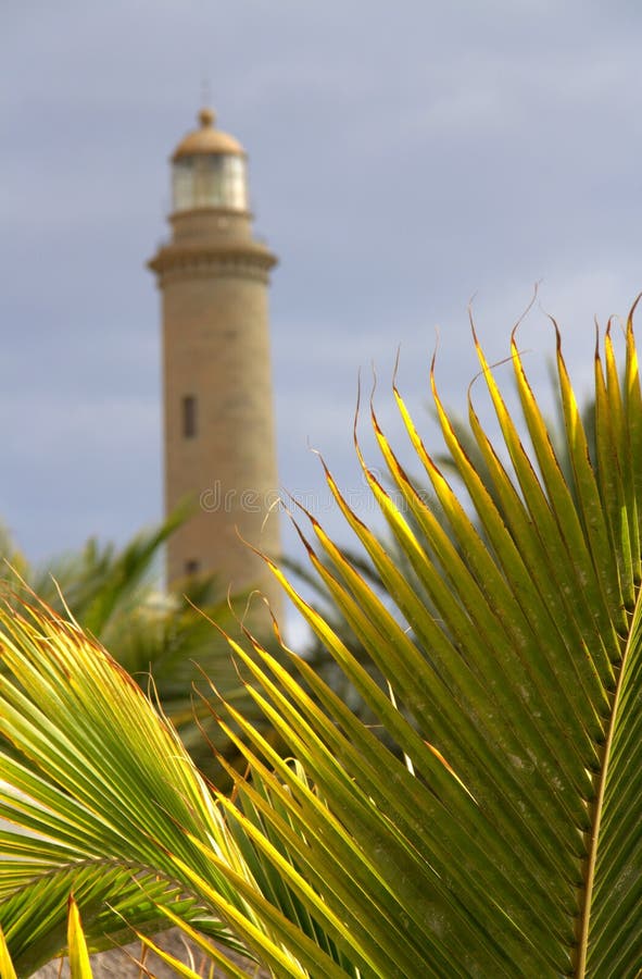 El Faro Lighthouse stock photo. Image of green, palm - 23396908