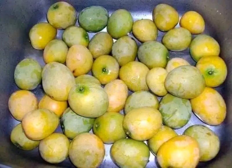 El Fruto Del Mango Es Dulce Y Fresco Para Comer Imagen de archivo ...