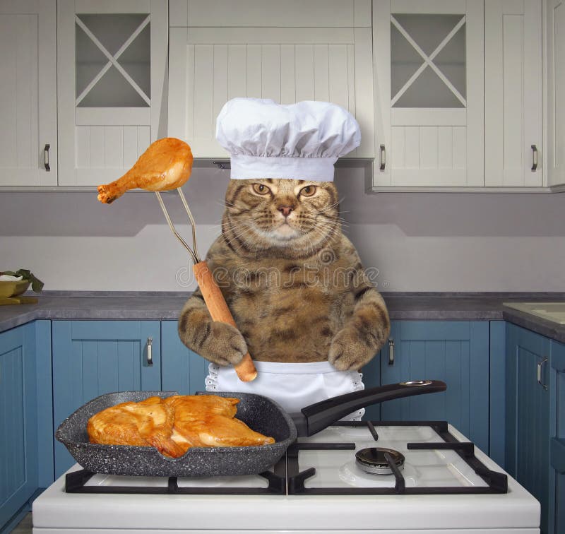 El Gato Cocina Un Pollo En La Cocina Imagen de archivo - Imagen de ...