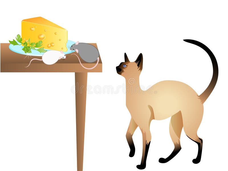 El gato mira un ratón ilustración del vector. Ilustración de felino ...