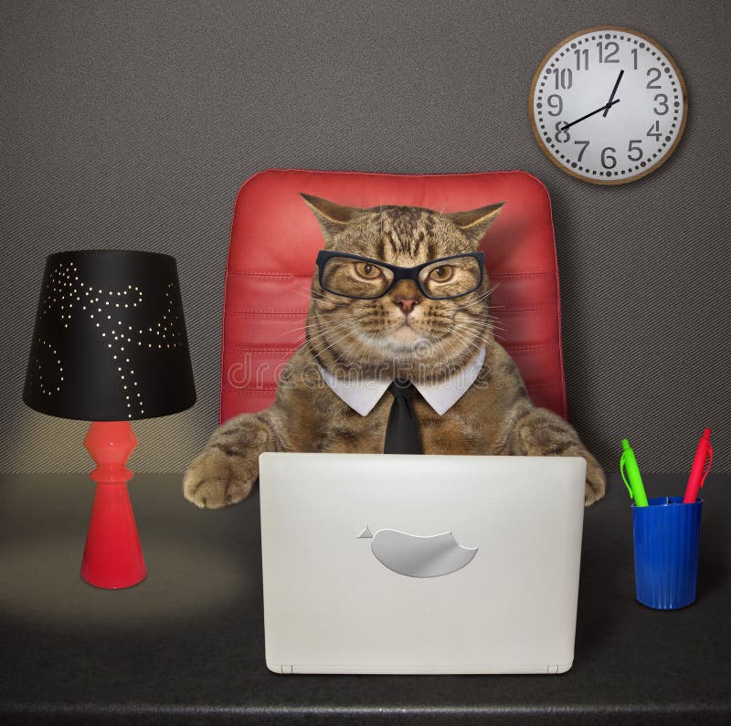 El Gato Trabaja En El Cuadro 2 Imagen de archivo - Imagen de ...