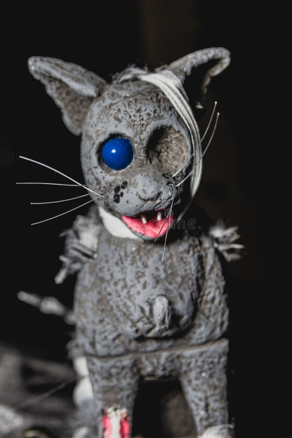 Gato Tuerto Fotos De Stock - Download 185 Fotos Libres de Derechos