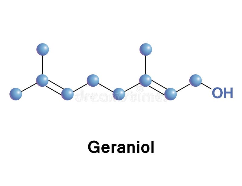 El Geraniol Es Un Monoterpenoid Y Un Alcohol Ilustración del Vector ...