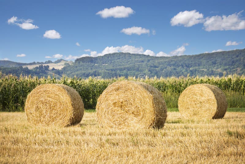 El heno rueda el lanscape imagen de archivo. Imagen de color - 26017297