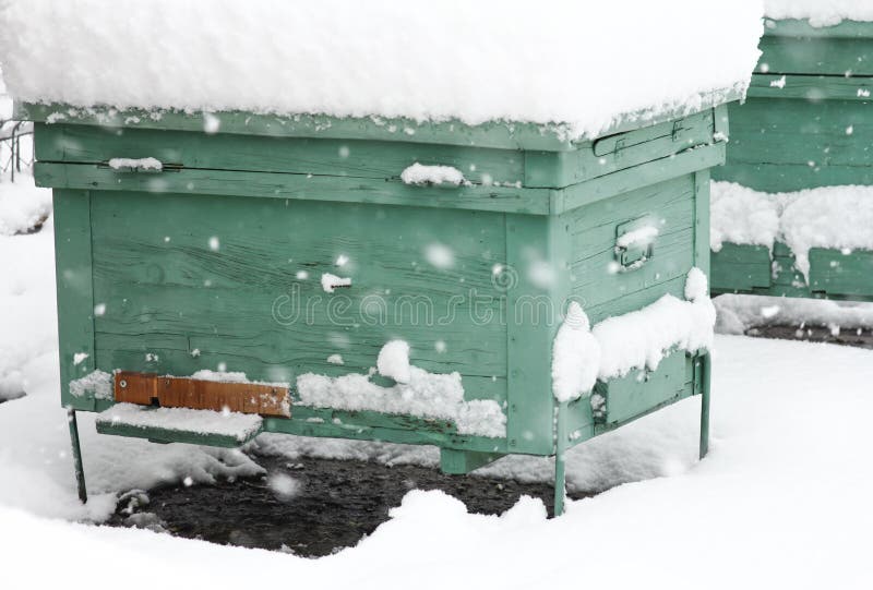 El Hibernar De La Colmena De La Abeja Foto de archivo - Imagen de ...