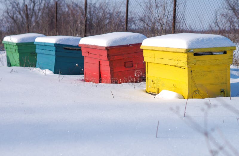El Hibernar De Las Colmenas De La Abeja Imagen de archivo - Imagen de ...