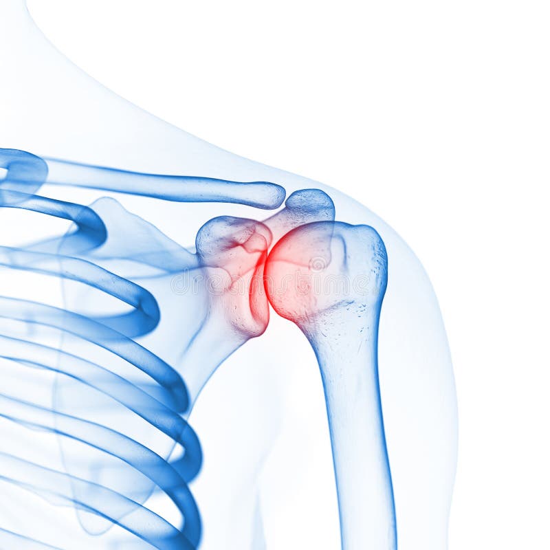 Hombro Ilustraciones Stock, Vectores, Y Clipart – (16,061 Ilustraciones ...