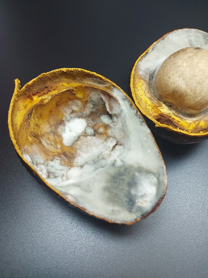 El hongo en la fruta kiwi. imagen de archivo. Imagen de postre - 251832197