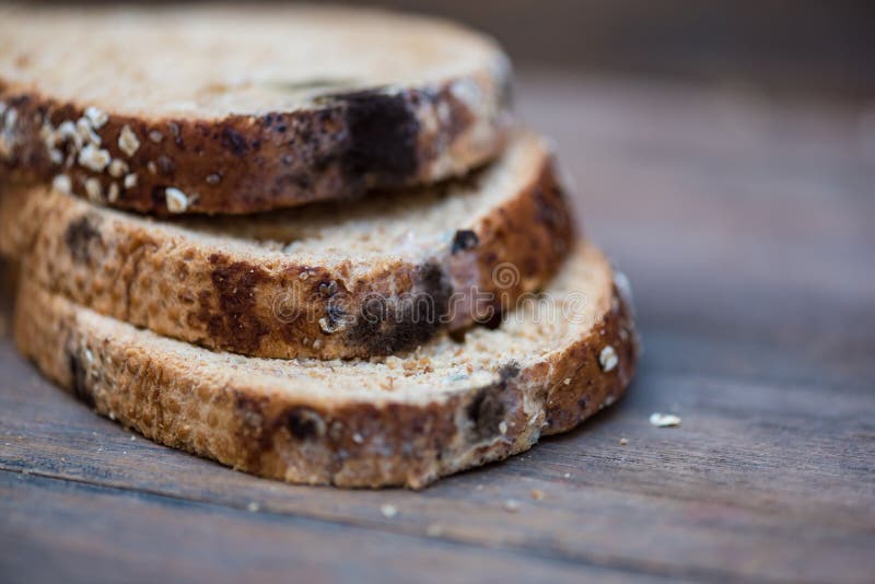 El Hongo Encendido Expira Pan Foto de archivo - Imagen de nadie, macro ...