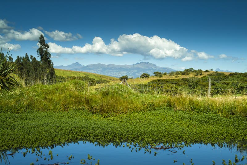 El Inga stock photo. Image of inga, america, nature - 151020922