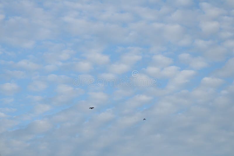 El Inmenso Azul Infinito Del Cielo. Foto de archivo - Imagen de azul ...