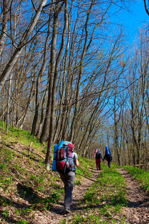 El ir de excursión foto de archivo. Imagen de excursionista - 14790792
