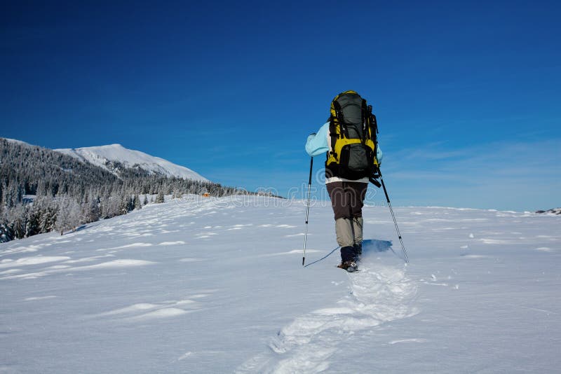 El ir de excursión foto de archivo. Imagen de brillante - 12797086