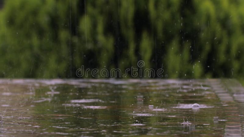 El Llover En Una Tabla Del Parque Almacen De Video - Vídeo de frescura ...