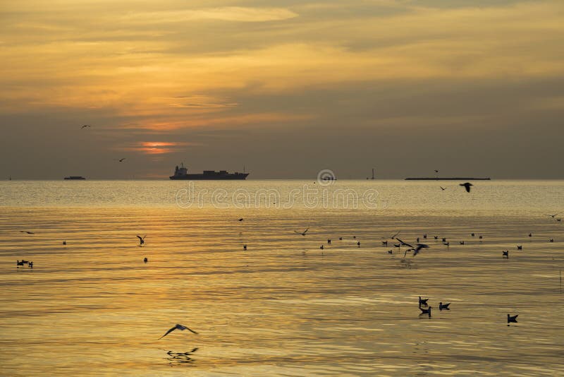 El Mar Con El Sol Y La Nave Y La Gaviota Foto de archivo - Imagen de ...