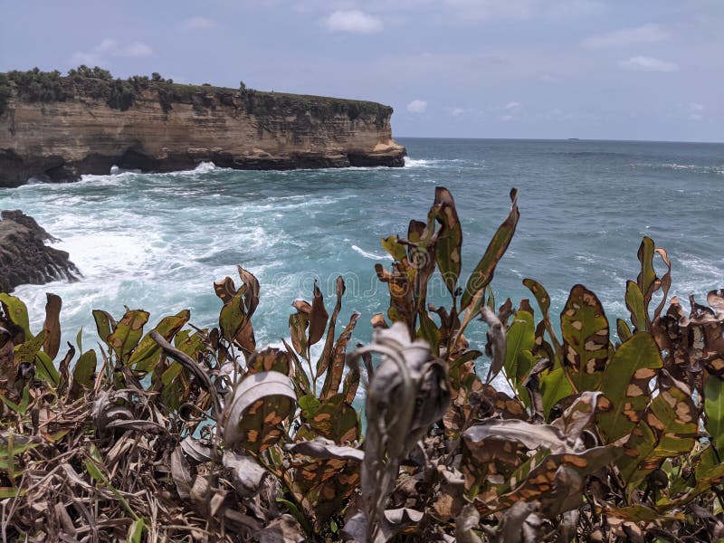 El Mar Del Sur De La Isla De Java Indonesia Que Se Extiende Imagen de ...