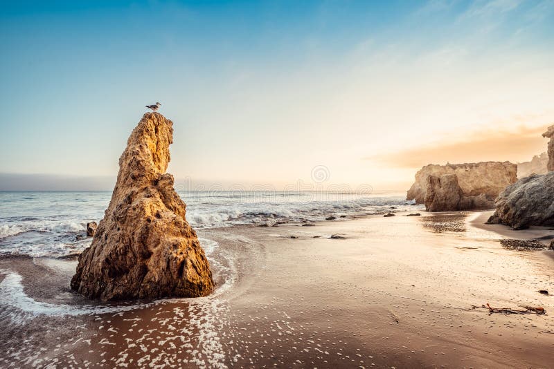 El matador beach stock photo. Image of scenic, landmark - 315096522