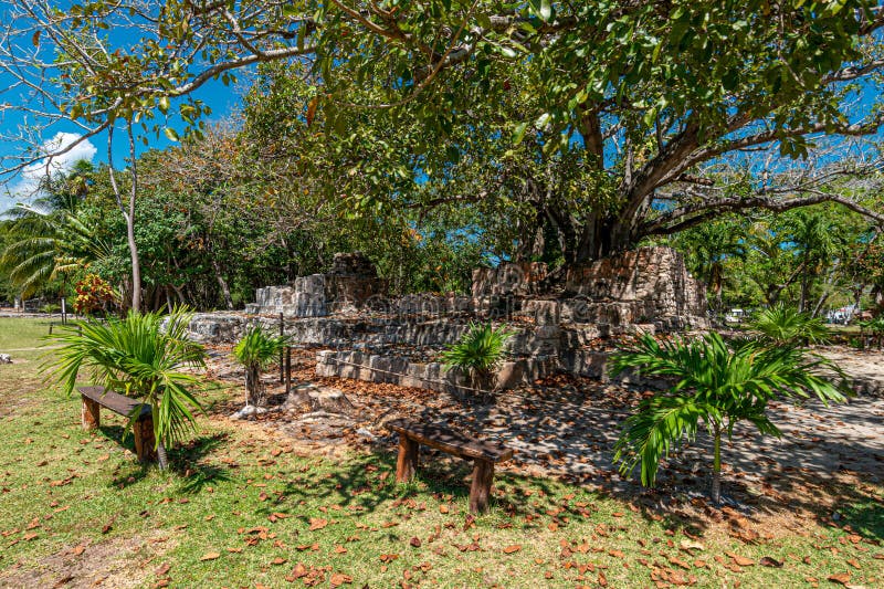 El Meco Mayan Site in Cancun Stock Image - Image of flower, autumn ...
