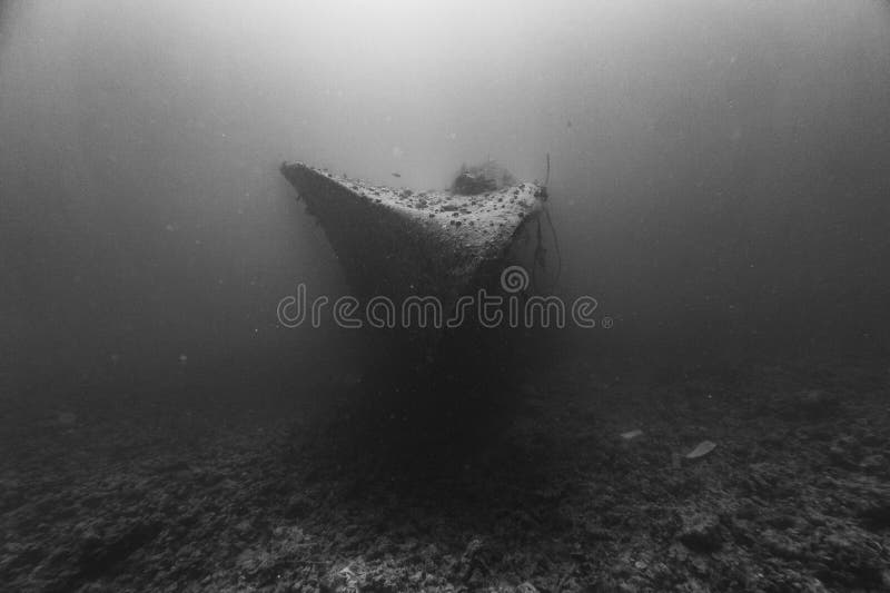 El Mina Wreck in Hurghada Harbour Stock Image - Image of hurghada, reef ...