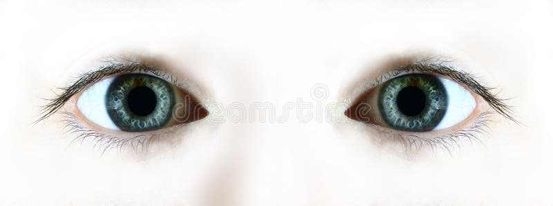 El mirar fijamente foto de archivo. Imagen de lente, nariz - 126974