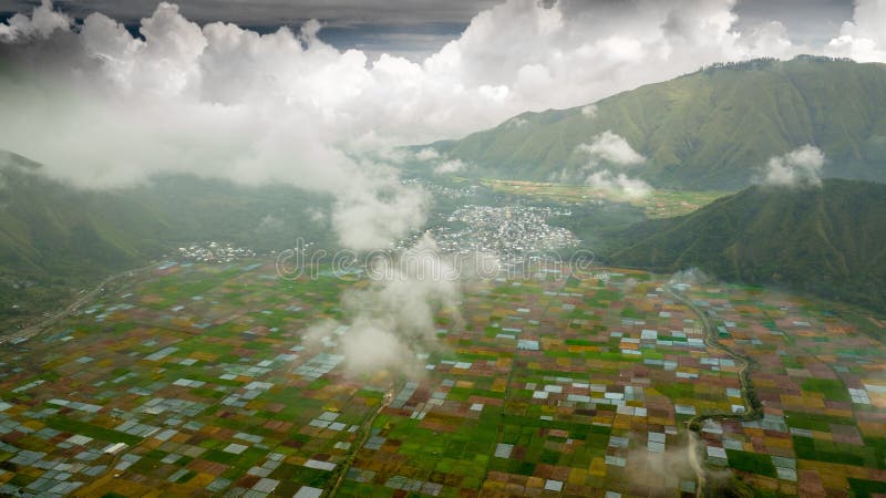 El modelo del campo foto de archivo. Imagen de asia - 115108006