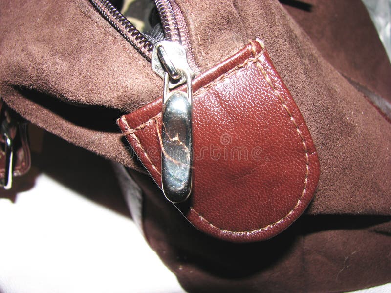 El monedero 2. imagen de archivo. Imagen de mantener, muchachas - 1443425