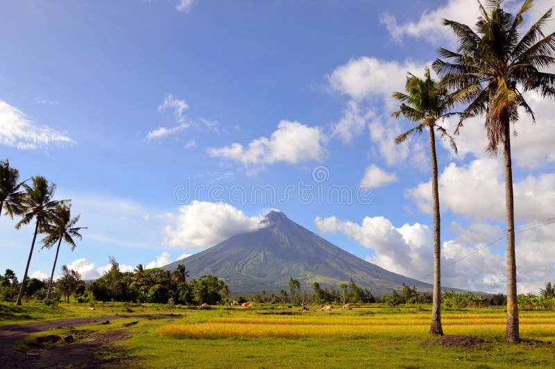 El Monte Mayon foto de archivo. Imagen de palma, arroz - 30460270
