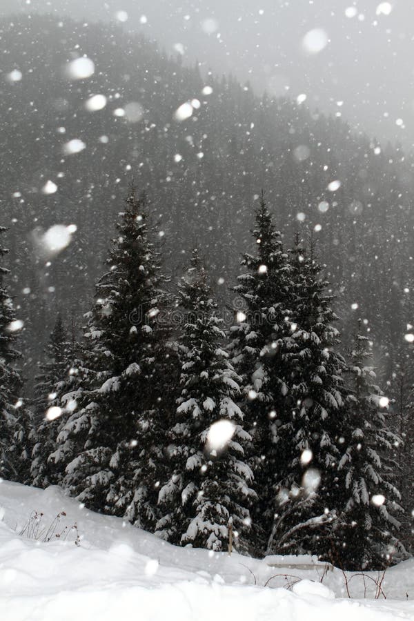 El nevar en invierno foto de archivo. Imagen de exterior - 22977070