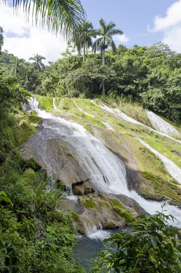 EL Nicho Del Parque En Cuba Foto de archivo - Imagen de cuba, latino ...