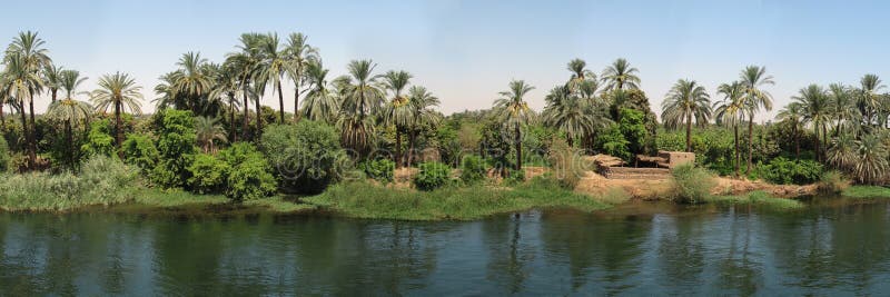 El Nilo foto de archivo. Imagen de agua, planta, paisaje - 8581008