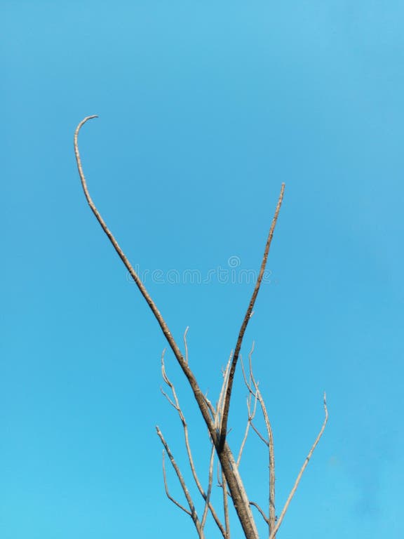 El Nino stock photo. Image of summer, season, nino, global - 290887440