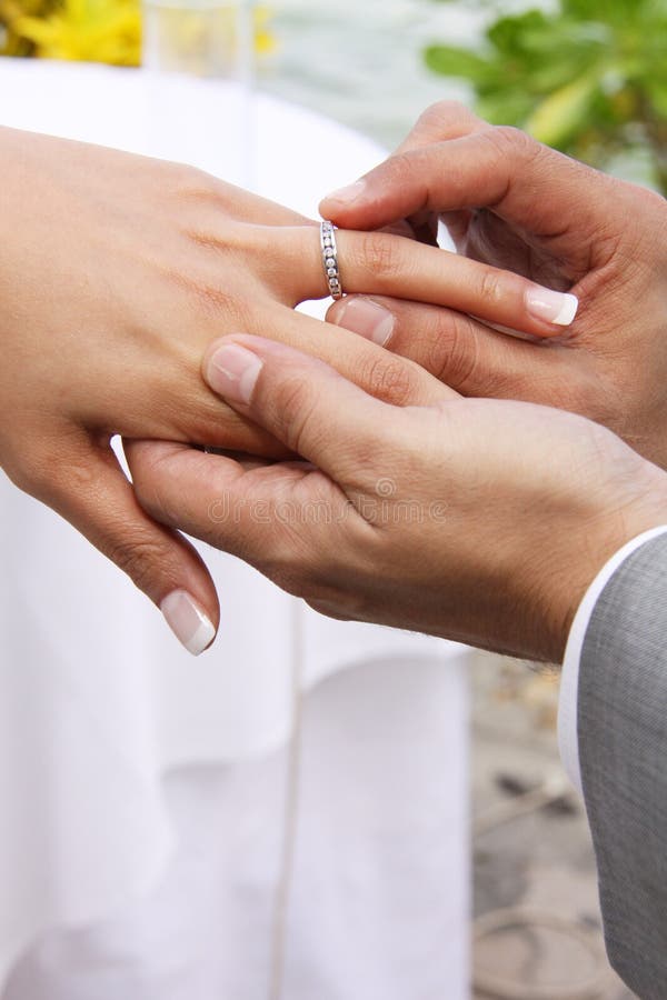 El Novio Le Pone El Anillo a La Novia Foto de archivo - Imagen de ...