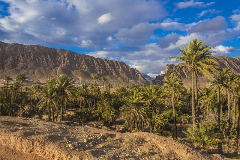Oasis imagen de archivo. Imagen de ambiente, oasis, aventura - 90927407