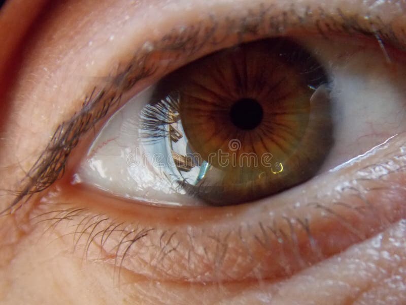 El ojo humano imagen de archivo. Imagen de poco, color - 120041327