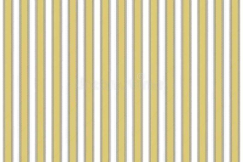 El Oro Raya El Modelo Incons?til Elegante Ilustración del Vector ...