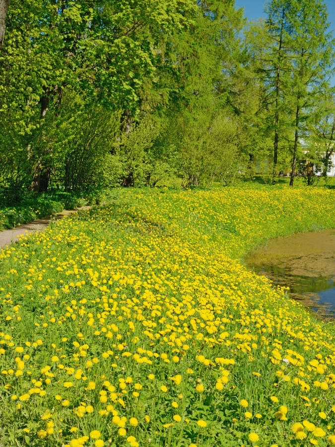 El Paisaje Natural En La Primavera Foto de archivo - Imagen de ramitas ...
