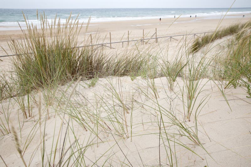 El Palmar Beach, Cadiz stock image. Image of spain, ocean - 83367375