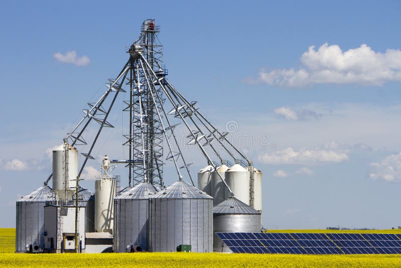 El Panel Solar De Silo De Grano Del Canola Foto de archivo - Imagen de ...