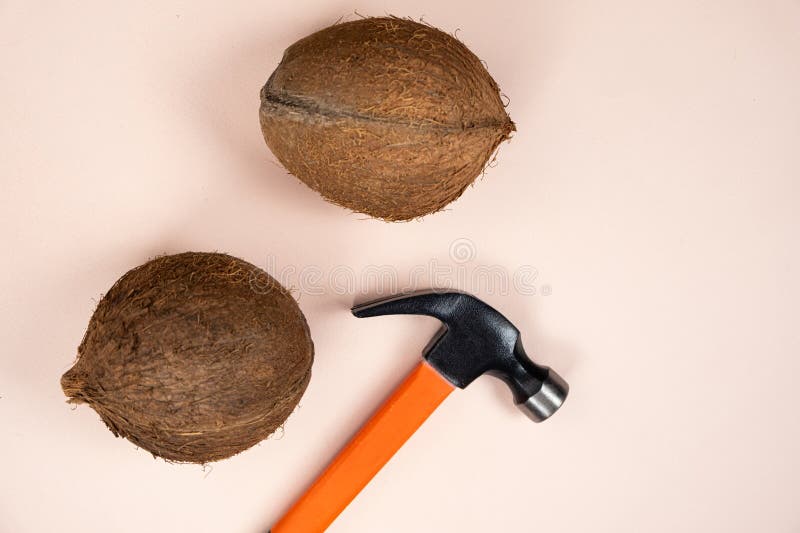 El Proceso De Rotura De Un Coco Con Un Martillo. Formas De Abrir Un ...