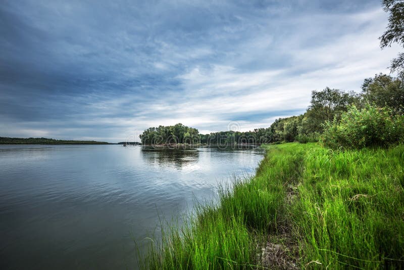 imágenes comunes del Obi - los derechos de la transferencia directa el ...